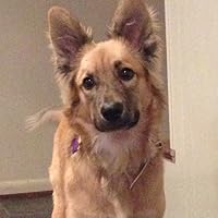 Rapture Ready!: Adventures in the Parallel Universe of Christian Pop ...