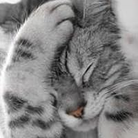 The Dargonesti (Dragonlance: Lost Histories, #3) by Paul B. Thompson ...