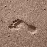 Gabbilam by Jashuva Gurram | Goodreads