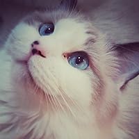 Split Infinity (Apprentice Adept, #1) by Piers Anthony | Goodreads