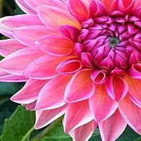 One World, One Day by Barbara Kerley | Goodreads