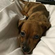 Cloud Computing for Complete Beginners: Building and Scaling High-Performance Web Servers on the ...