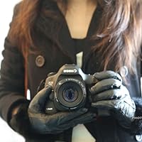 Lethal Seduction (Madison Castelli #1) by Jackie Collins | Goodreads