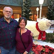 Queen of Diamonds (Aces & Eights #4) by Sandra Owens | Goodreads