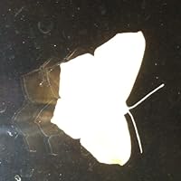 Fledgling (Jason Steed, #1) by Mark A. Cooper | Goodreads