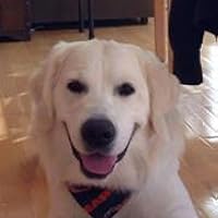 The Bark Of The Dogwood: A Tour Of Southern Homes And Gardens by ...