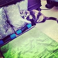 Girls of Glass by Brianna Labuskes | Goodreads