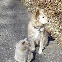 The Last Time Traveler by Aaron J. Ethridge | Goodreads