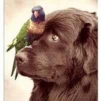 The Stranger (The Labyrinths of Echo, #1) by Max Frei | Goodreads