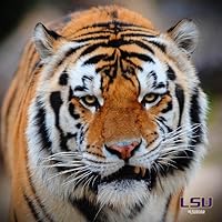 Closer to Nowhere by Ellen Hopkins | Goodreads