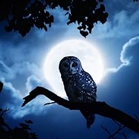 Struck: Stupid Cupid; Flirting with Disaster; Pucker Up by Rhonda ...