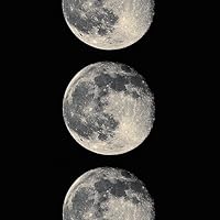 The Gypsy Crown by Kate Forsyth | Goodreads