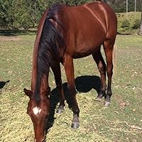 My Dead World by Jacqueline Druga | Goodreads