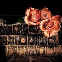 The Thorn (Rose Trilogy, #1) by Beverly Lewis | Goodreads