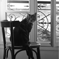 Quarterlife by Devika Rege | Goodreads