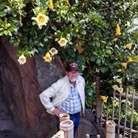 Rip Tides (Lei Crime, #9) by Toby Neal | Goodreads