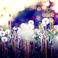 La Cancion Verde by Doris Troutman Plenn | Goodreads