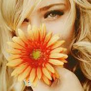 A textbook of economic theory by Alfred W. Stonier | Goodreads