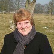 Learning from Mistakes in Rational Emotive Behaviour Therapy by Windy ...