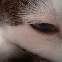 Shadow Jumper (Shadow Jumper #1) by J.M. Forster | Goodreads