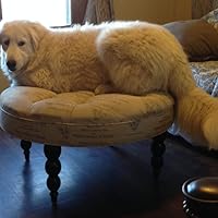 Ghostbread by Sonja Livingston | Goodreads