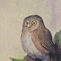 Perdita by Hilary Scharper | Goodreads