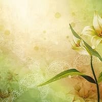 Undying Affinity by Sara Naveed | Goodreads