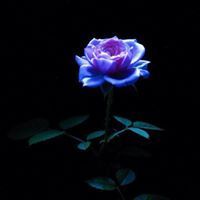 Dark Fury: Teddi McCoy Horror by David Brookover | Goodreads