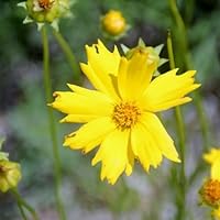 The Realms Thereunder (The Ancient Earth, #1) by Ross Lawhead | Goodreads