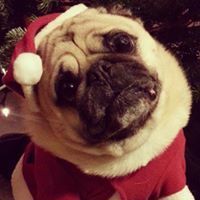 The Armor of Light (Kingsbridge, #4) by Ken Follett | Goodreads