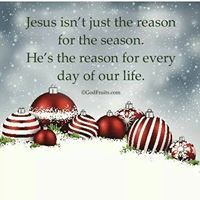 The Memory Library by Kate Storey | Goodreads