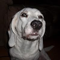 Ribbit! by Rodrigo Folgueira | Goodreads