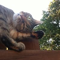 The Definitive Guide to How Computers Do Math : Featuring the Virtual ...