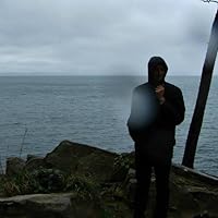 Firewing (Silverwing, #3) by Kenneth Oppel | Goodreads