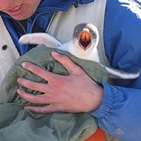 There's a Seal in My Sleeping Bag by Lyn Hancock | Goodreads