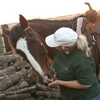 The Gentling Box by Lisa Mannetti | Goodreads