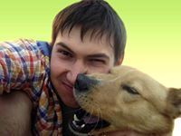 Understanding Automotive Electronics: An Engineering Perspective by ...