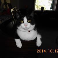 I Have Two Dads: Different Types of Families by Madeleine Gasperi ...