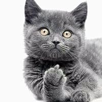 The Book of Exodi by Michael K. Eidson | Goodreads