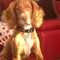 Pretty-shield: Medicine Woman of the Crows by Frank Bird Linderman ...