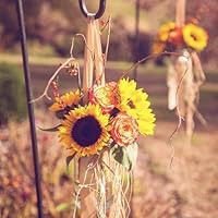 Fighting Darius by Nicole Riddley | Goodreads