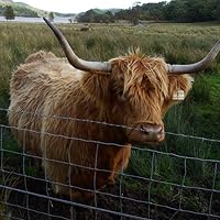 Heretical Fishing (Heretical Fishing, #1) by Haylock Jobson | Goodreads