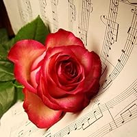 Phantom River (Columbia River #2) by P.J. Alderman | Goodreads