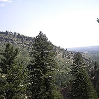 Ella Mental: And the Good Sense Guide by Amber Deckers | Goodreads