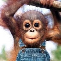 Who Am I? The Diary Of Mary Talence, Sydney 1937 by Anita Heiss | Goodreads