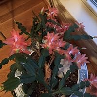 Healthy School Lunches by Amanda Ingelleri | Goodreads