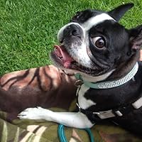 Beyond Monongah: An Appalachian Story by Judith Hoover | Goodreads