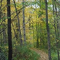 I'm in Charge of Celebrations by Byrd Baylor | Goodreads