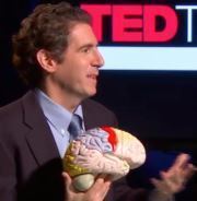 Mastering Logical Fallacies: The Definitive Guide to Flawless Rhetoric and Bulletproof Logic by ...