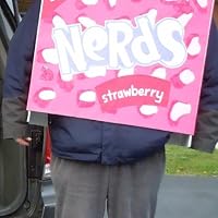 Parasite Pig (Interstellar Pig, #2) by William Sleator | Goodreads